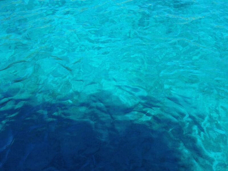 Bodrum: Scuba Diving Trip with Lunch - Key Points