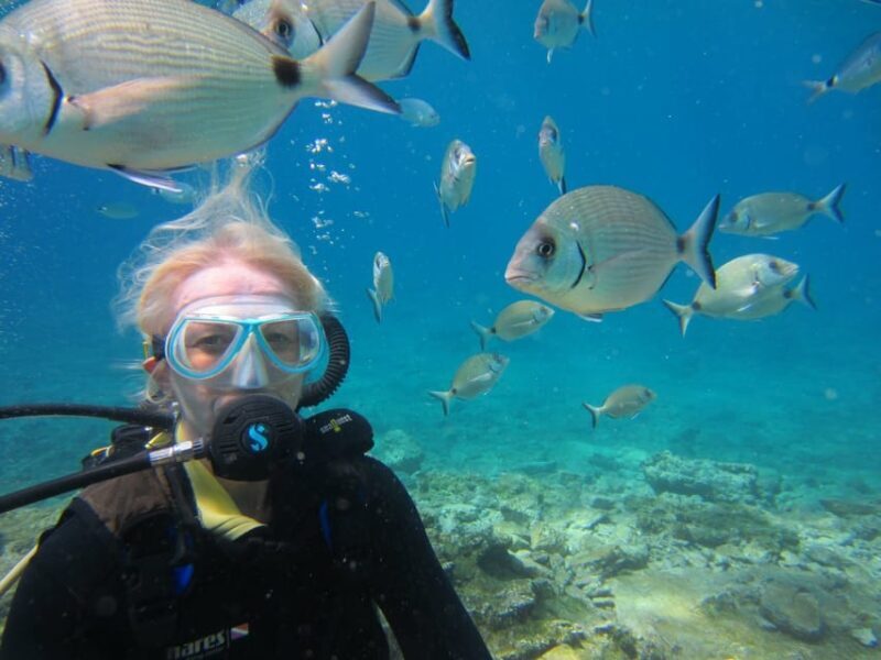 Bodrum: Scuba Diving Trip with Lunch - Introduction to the Experience