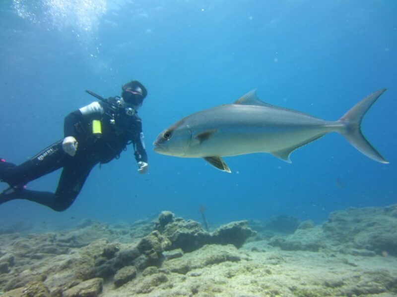 Bodrum: Scuba Diving Trip with Lunch - Final Thoughts