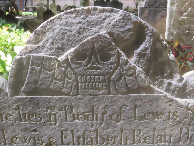 Body Snatchers of New York - Key Points