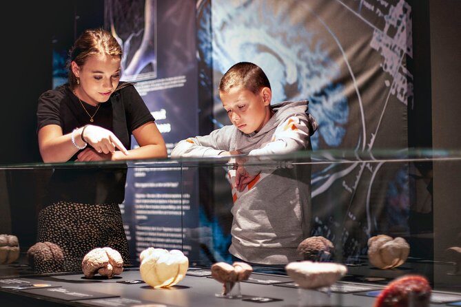 Body Worlds Amsterdam Admission Ticket - What to Expect at Body Worlds Amsterdam