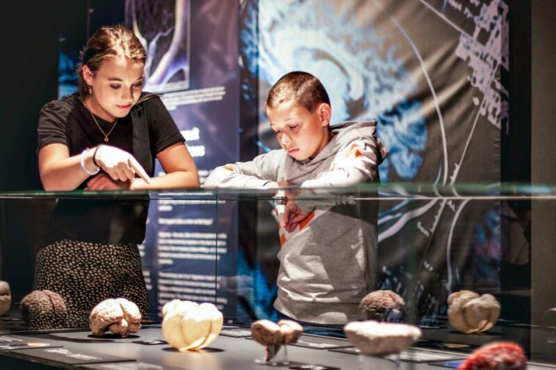 Body Worlds Amsterdam: The Happiness Project Ticket - The Sum Up