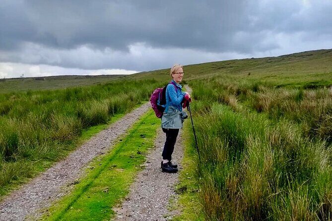 Bog Safari Hike - The Itinerary: A Step-by-Step Journey