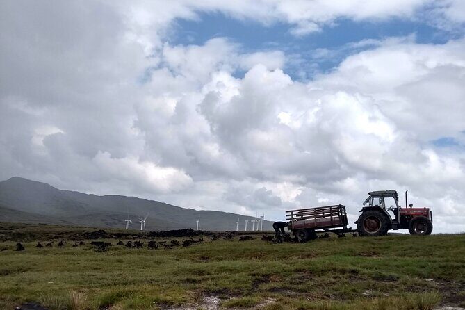 Bog Safari Hike - What Reviewers Say