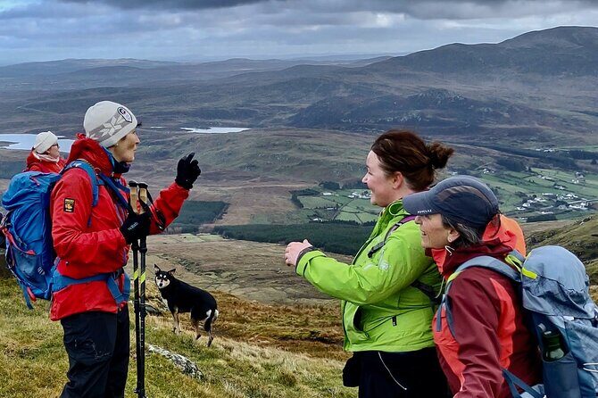 Bog Safari Hike - The Sum Up: Who Should Consider This Experience?