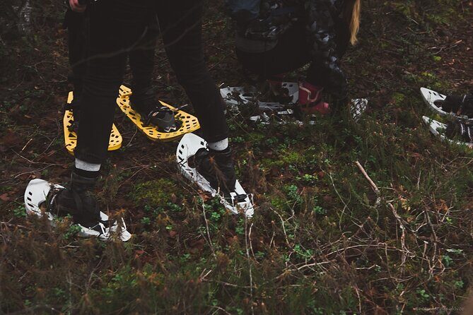Bog-shoe Hiking Tour - Authentic Experiences and Feedback from Travelers