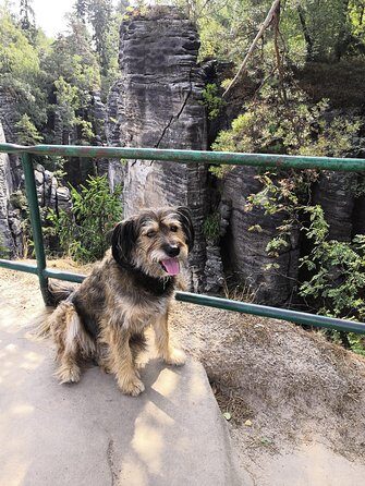 Bohemian Paradise (eský ráj) UNESCO geopark nature walks - Final Thoughts