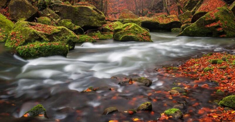 Bohemian Switzerland: Private Day Trip from Prague - Authentic Experiences and Real Traveler Insights