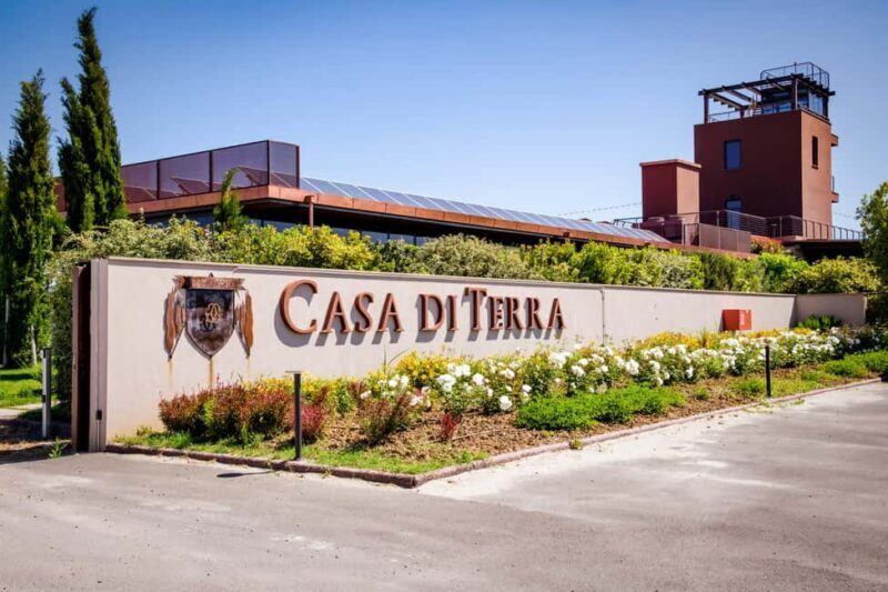 Bolgheri: a guided tour of the winery and a tasting of our wines - The Detailed Experience: What You Can Expect