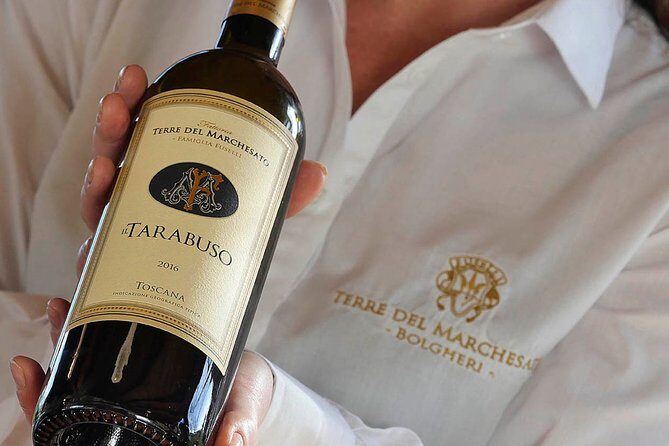 Bolgheri: Classic Wine Tasting with Winery Tour - Key Points