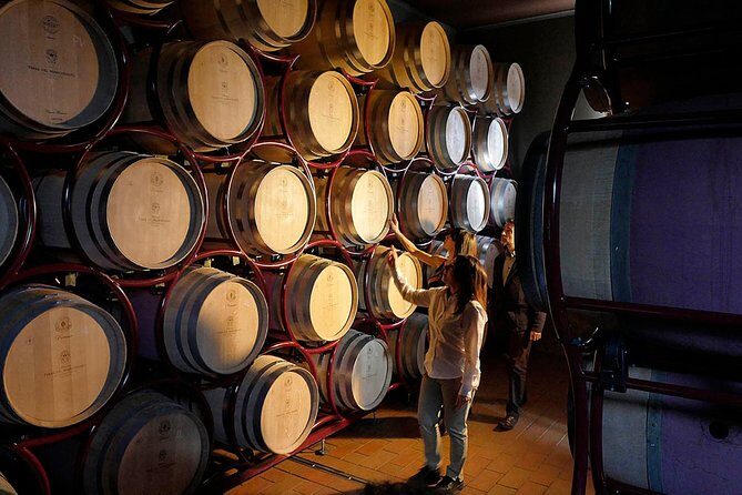 Bolgheri: Classic Wine Tasting with Winery Tour - Who Will Love This Tour?