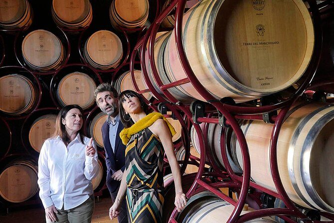 Bolgheri: Premium Wine Tasting with Winery Tour - Key Points