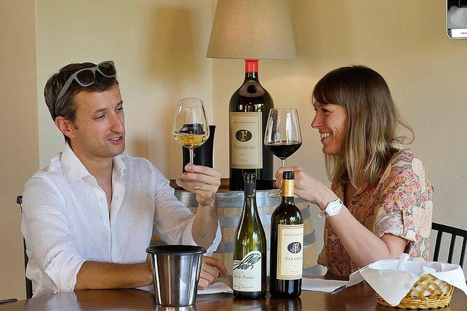 Bolgheri: Sensorial Wine Tasting with Winery Tour - The Sum Up