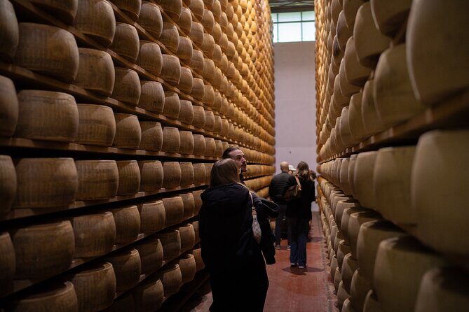 Bologna Food Valley: Factory tasting, Wines & traditional Lunch - Key Points