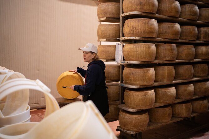 Bologna Food Valley: Factory tasting, Wines & traditional Lunch - Introduction: Why This Tour Stands Out