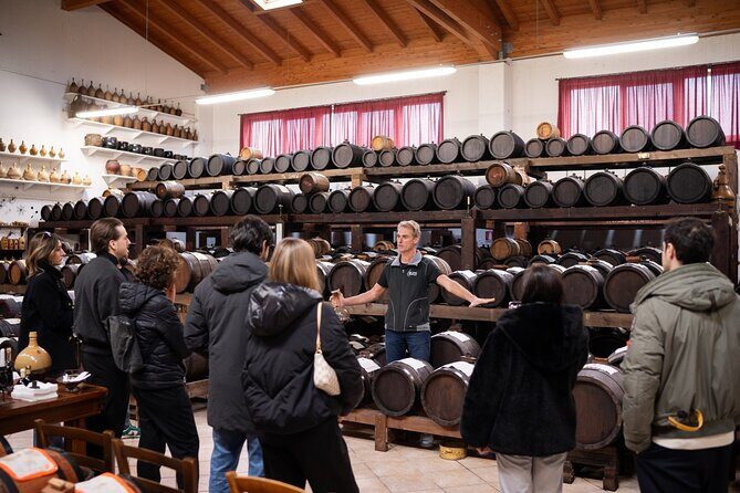 Bologna Food Valley: Factory tasting, Wines & traditional Lunch - Transportation, Timing, and Group Size