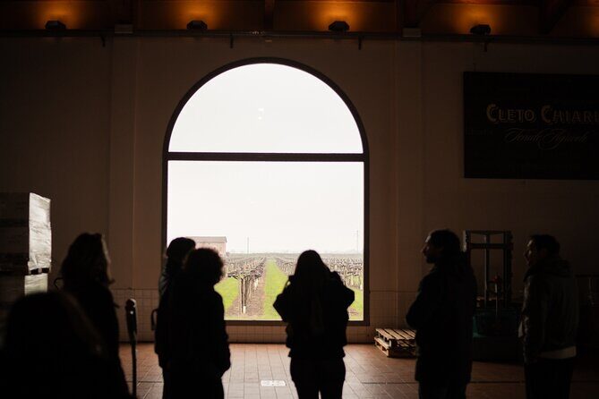 Bologna Food Valley: Factory tasting, Wines & traditional Lunch - Final Thoughts