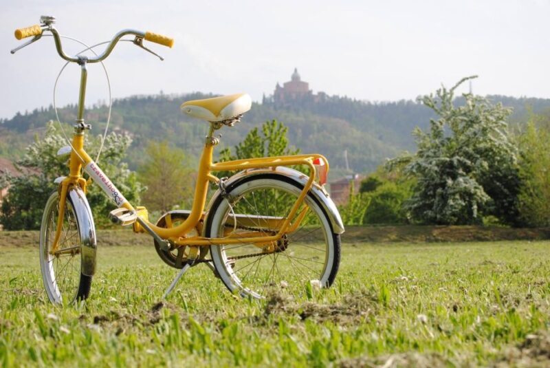 Bologna: Panoramic Bike Tour - An In-Depth Look at the Bologna Panoramic Bike Tour