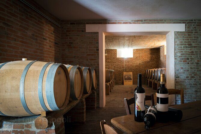 Bologna Wine Tasting & Winery Tour in the Colli Bolognesi - Practical Tips for Travelers