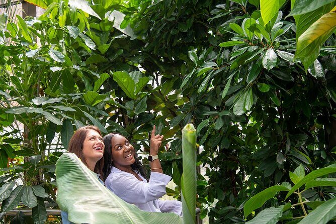 Bombay Sapphire Gin Cocktail Masterclass and Tour - FAQ