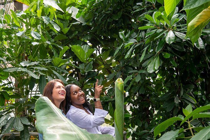 Bombay Sapphire Gin Distillery Tour and Cocktail - The Sum Up