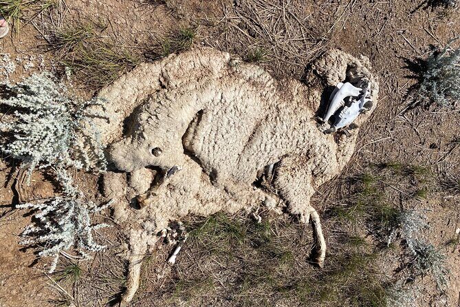 Bone Hunting in Wyoming - Final Thoughts: Who Will Love This?