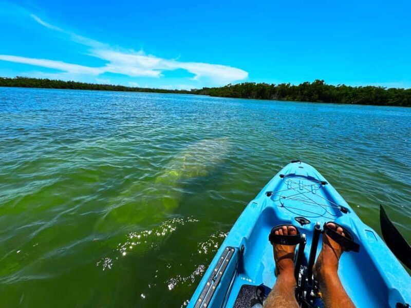 Bonita Springs: Kayak Tour with Manatees, Dolphins Sightings - Exploring the Details of the Bonita Springs Kayak Tour