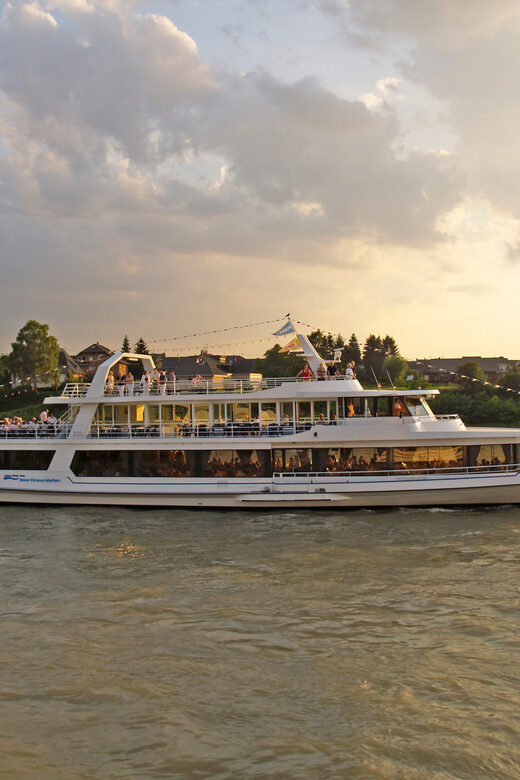 Bonn: 1.5-Hour River Cruise on the Rhine - The Sum Up