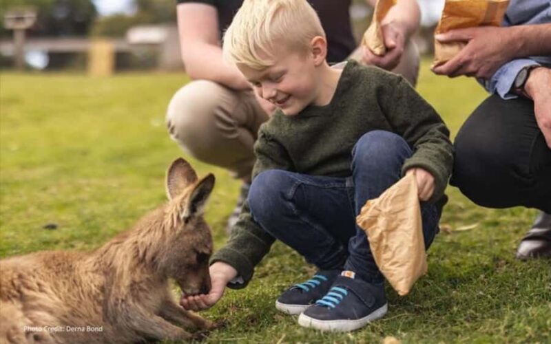 Bonorong & Richmond: Shore Excursion (Private Tour) - Value and Practical Considerations