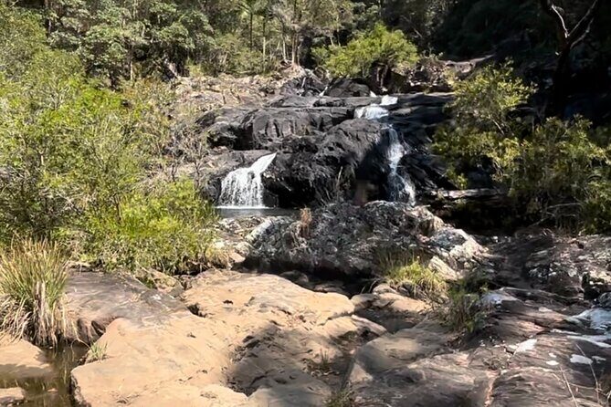 Booloumba Falls & Booloumba Creek Adventure, Conondale Nat. Park - The Value Proposition: Who Is This Tour Best For?