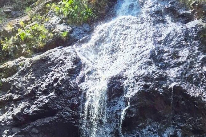 Booloumba Falls & Booloumba Creek Adventure, Conondale Nat. Park - FAQ Section