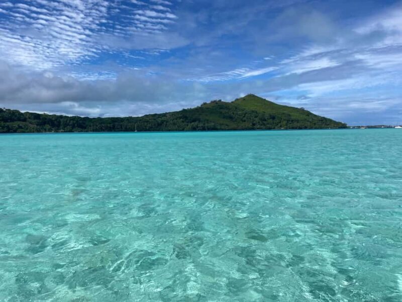 Bora Bora: 1/2 day Coral Discovery tour - Shared tour - What Makes This Tour Stand Out?