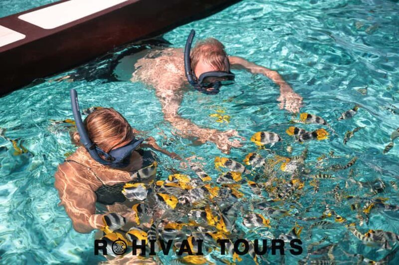 Bora Bora: 1/2 day lagoon safari - Shared tour - An In-Depth Look at the Bora Bora Lagoon Safari