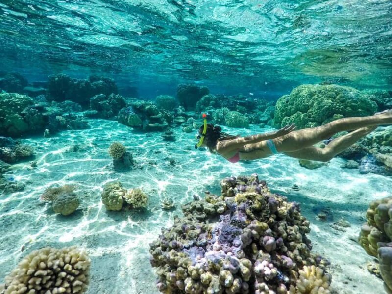 Bora Bora: 3.5-Hour Lagoon Boat Tour with Snorkeling - Key Points