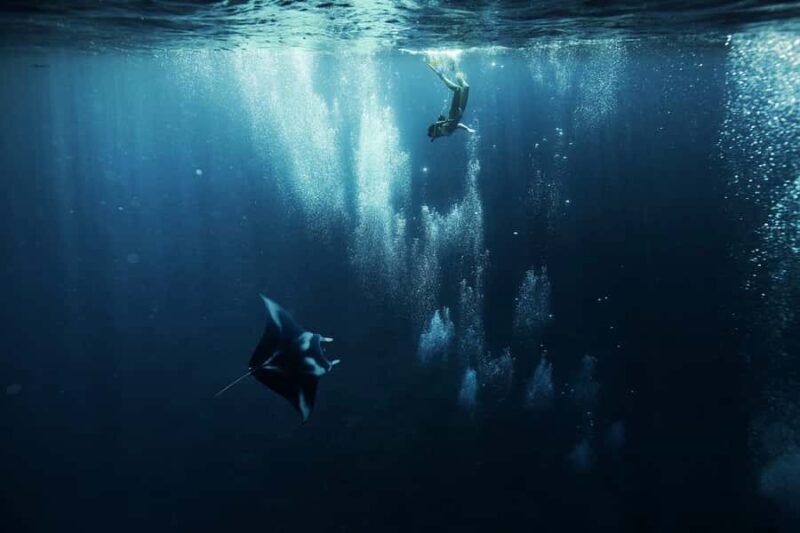 Bora Bora: 3.5-Hour Lagoon Boat Tour with Snorkeling - An In-Depth Look at the Bora Bora Lagoon Boat Tour