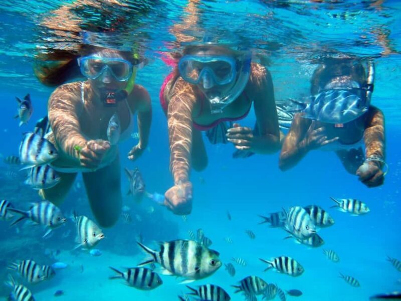 Bora Bora: 3.5-Hour Lagoon Boat Tour with Snorkeling - FAQ