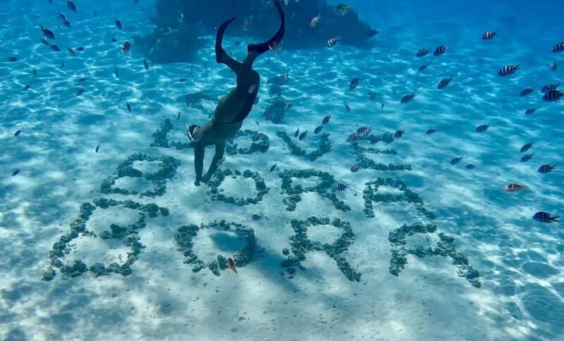 Bora Bora: Blue Lagoon Cruise, Snorkeling and Lunch . - Why We Think This Tour Is Worth It