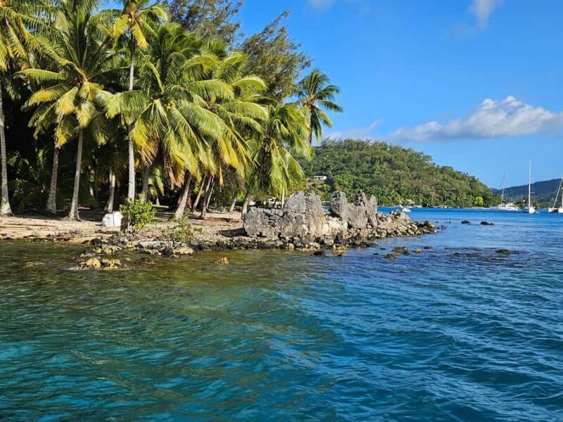 Bora Bora: Complete lagoon tour in 2 hours - Final Thoughts