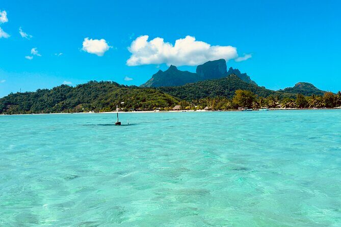 Bora Bora Complete tour of the lagoon in 2H - Key Points