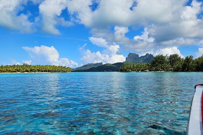 Bora Bora Complete tour of the lagoon in 2H - Why Choose the Bora Bora Complete Lagoon Tour?