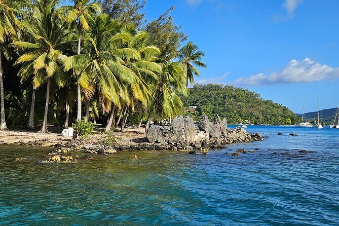 Bora Bora Complete tour of the lagoon in 2H - What Travelers Are Saying