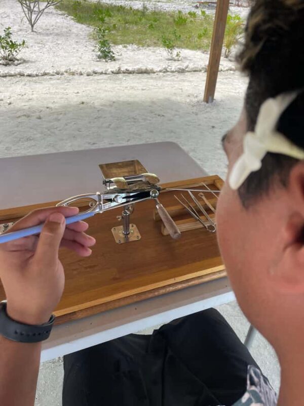 Bora Bora: Discovering the Tahitian black pearl ! - An In-Depth Look at the Bora Bora Pearl Experience