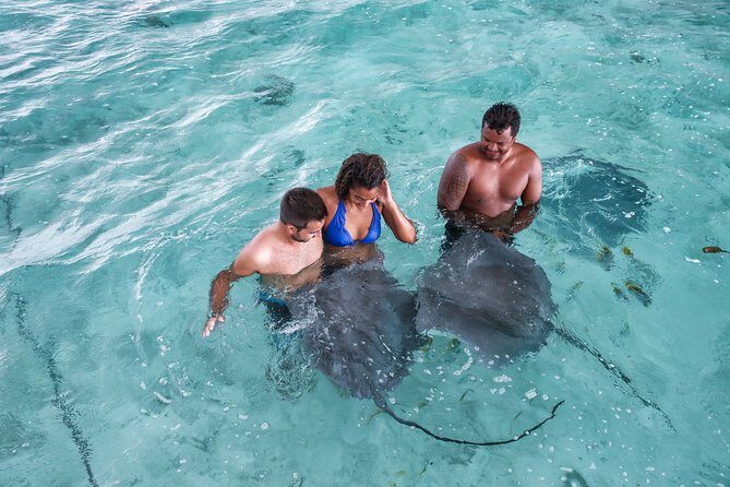 Bora Bora Eco Snorkel Cruise Including Snorkeling with Sharks and Stingrays - FAQs