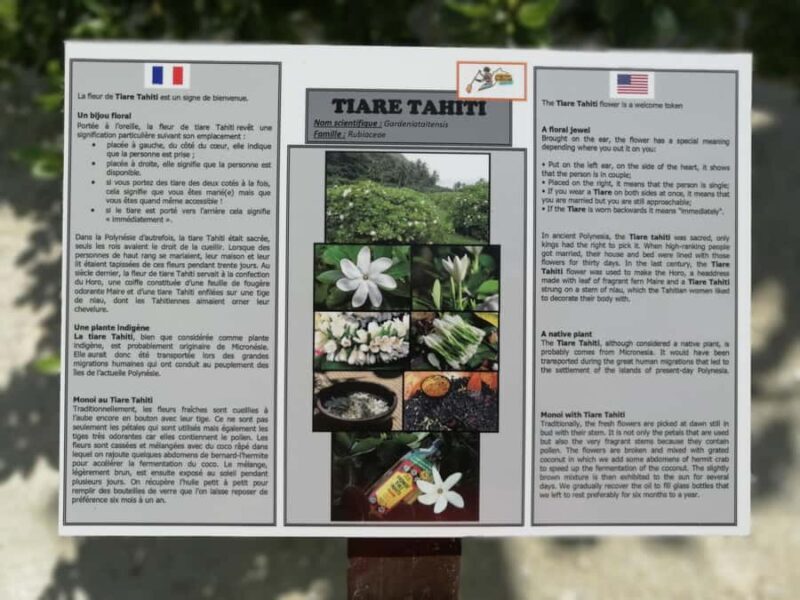 Bora Bora: Full Day in a Traditional Canoe in the Lagoon - Key Points