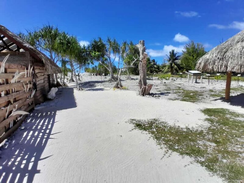 Bora Bora: Full Day in a Traditional Canoe in the Lagoon - Practical Details and What to Expect