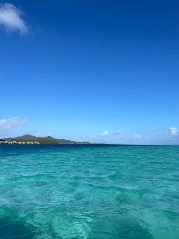 Bora Bora: Full day Lagoon Safari & Lunch on a Motu - ST - The Experience’s Top Highlights