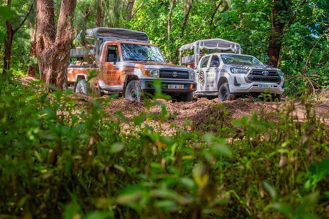 Bora Bora Half Day 4X4 Island Safari Tours - Pricing & Value: Is It Worth It?