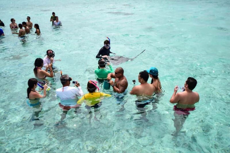 Bora Bora: Half-Day Lagoon Snorkelling Tour - Key Points