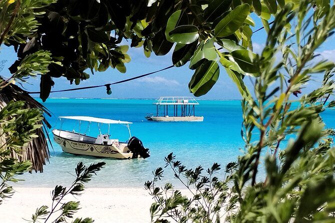 Bora Bora Half Day Snorkeling - How Does It Compare Value-wise?  