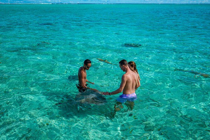 Bora Bora Half Day Snorkeling - FAQs  